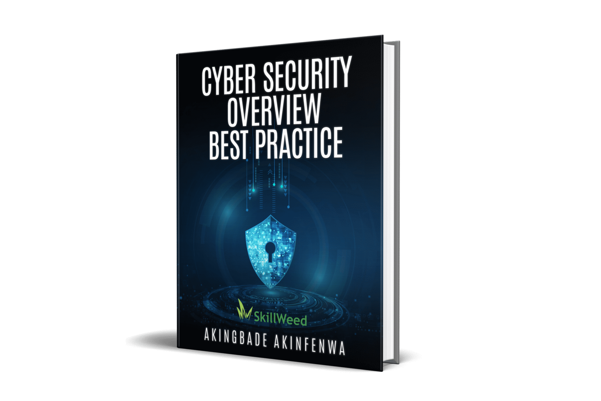 Cybersecurity Best Practices - Ebook - Skillweed Learning Cybersecurity Best Practices - Ebook - Skillweed Learning